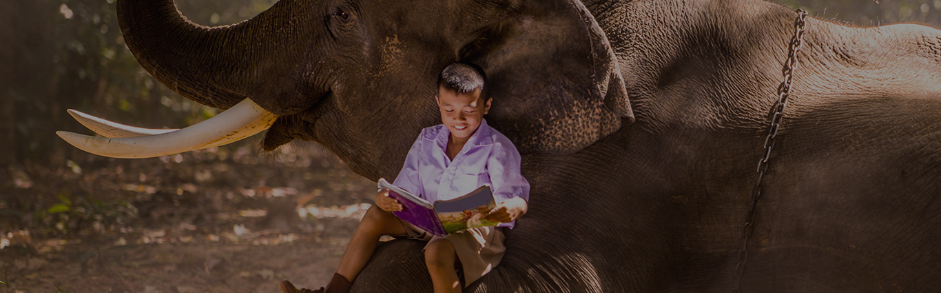 Knowledge & Impact Stories - EEF - Equitable Education Fund