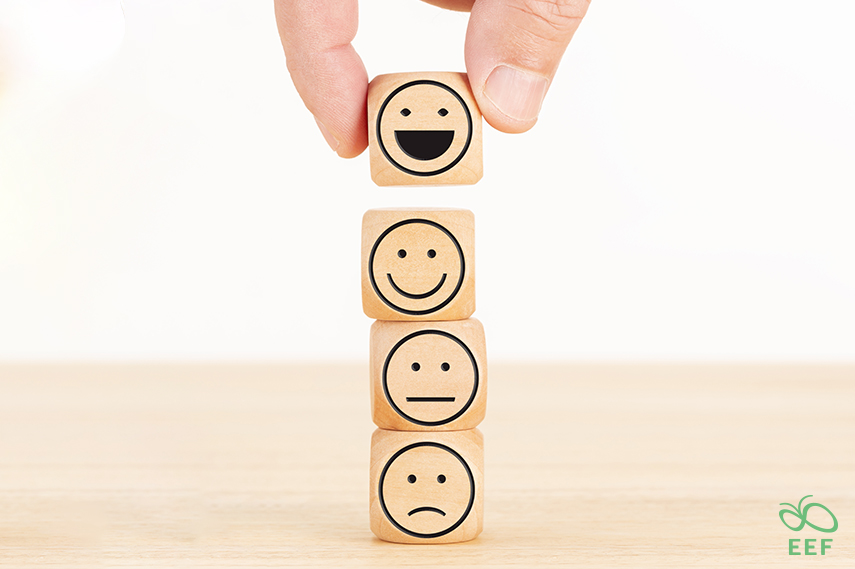 Happiness Curriculum: Happiness Class and How It Is Implemented – EEF ...