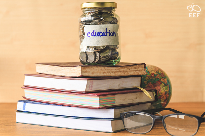 Studies on Special Education Fund (SEF) and Financing Disability ...