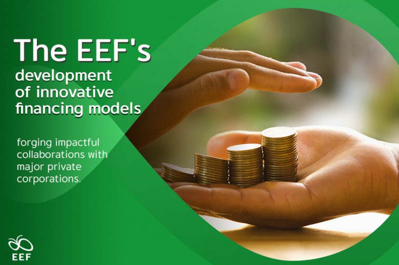 Breaking Barriers: The EEF’s Innovative Financing Transforms Thai ...